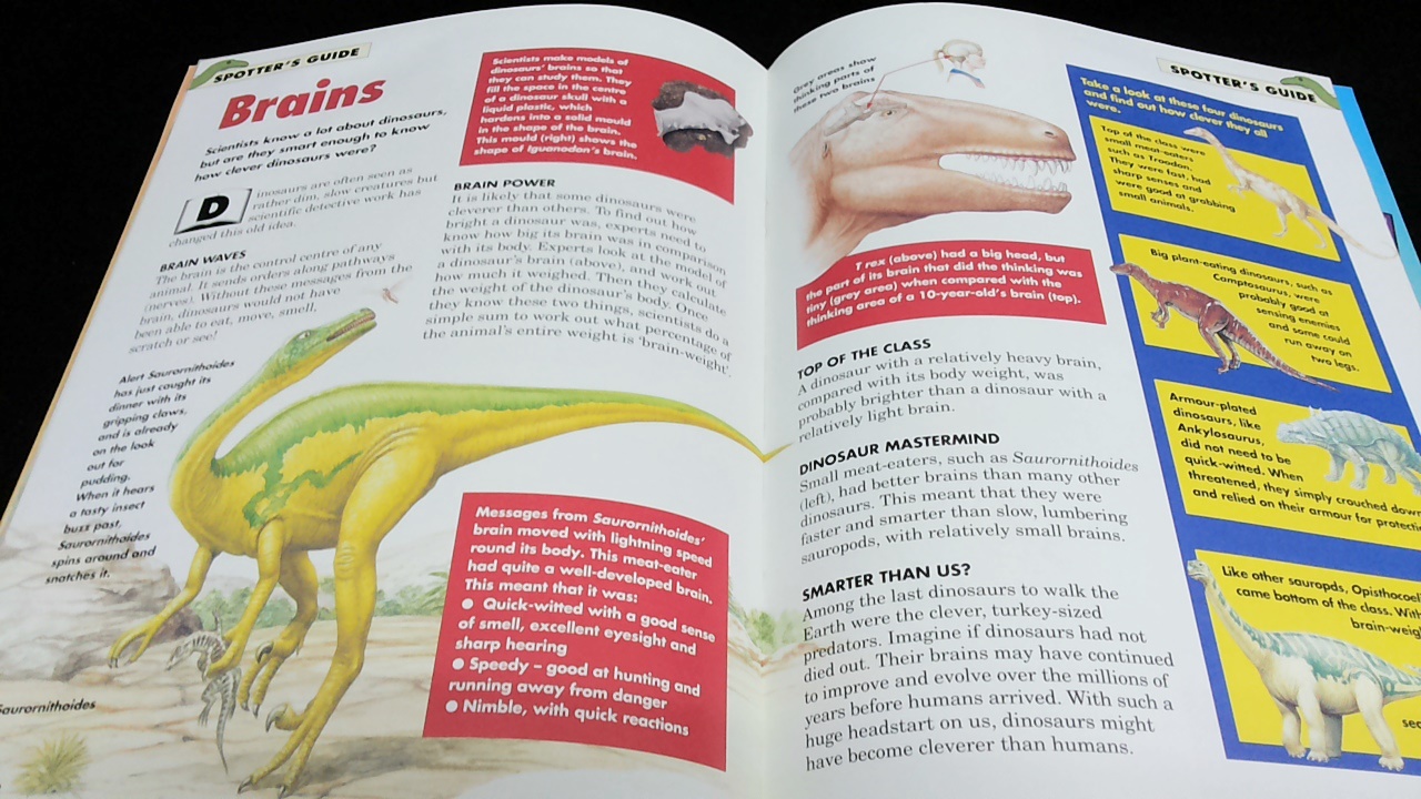 Kid Books Blog: 66.ชุด Dinosaurs Discover the Giants of the Prehistoric ...