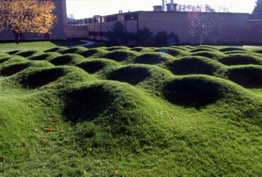 The Final Year: Maya Lin - The Wave Field