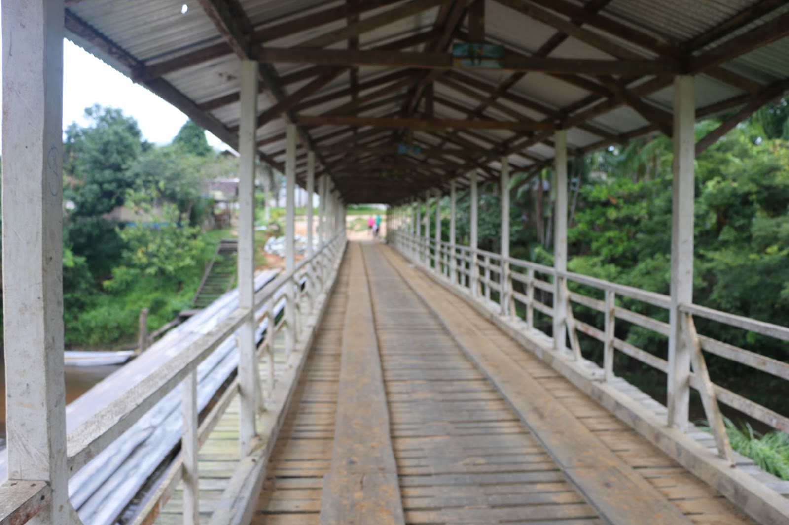 Fui conhecer o Céu do Mapiá