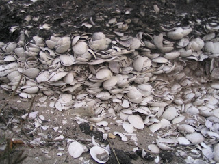 Native Americans: Archaic People