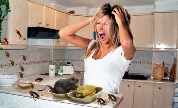 Celtibético: Curiana