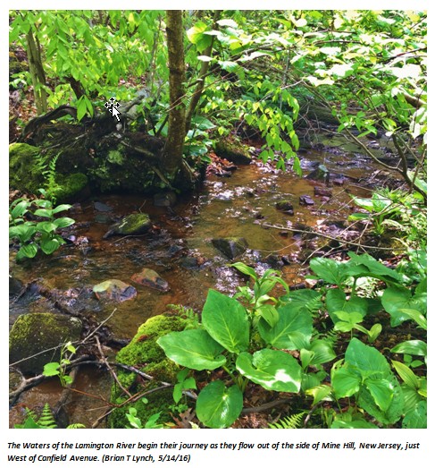 Data-Driven Viewpoints: Mine Hill, Headwaters of the Lamington River