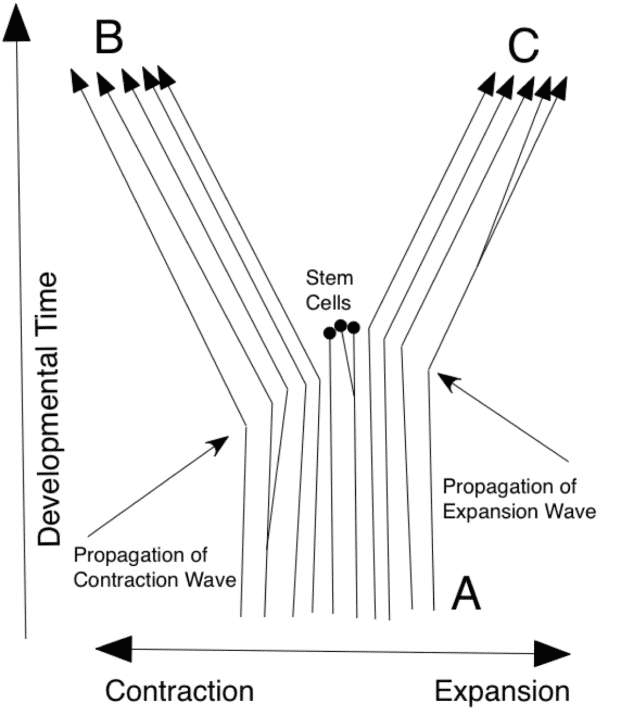 SoftwarePhysics: May 2014