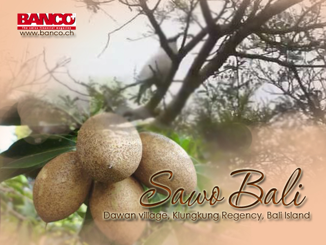 Luh Wahyuni: HOW CAN THROUGH DAWAN VILLAGE