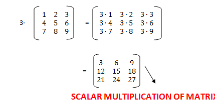 C program to perform Scalar matrix multiplication