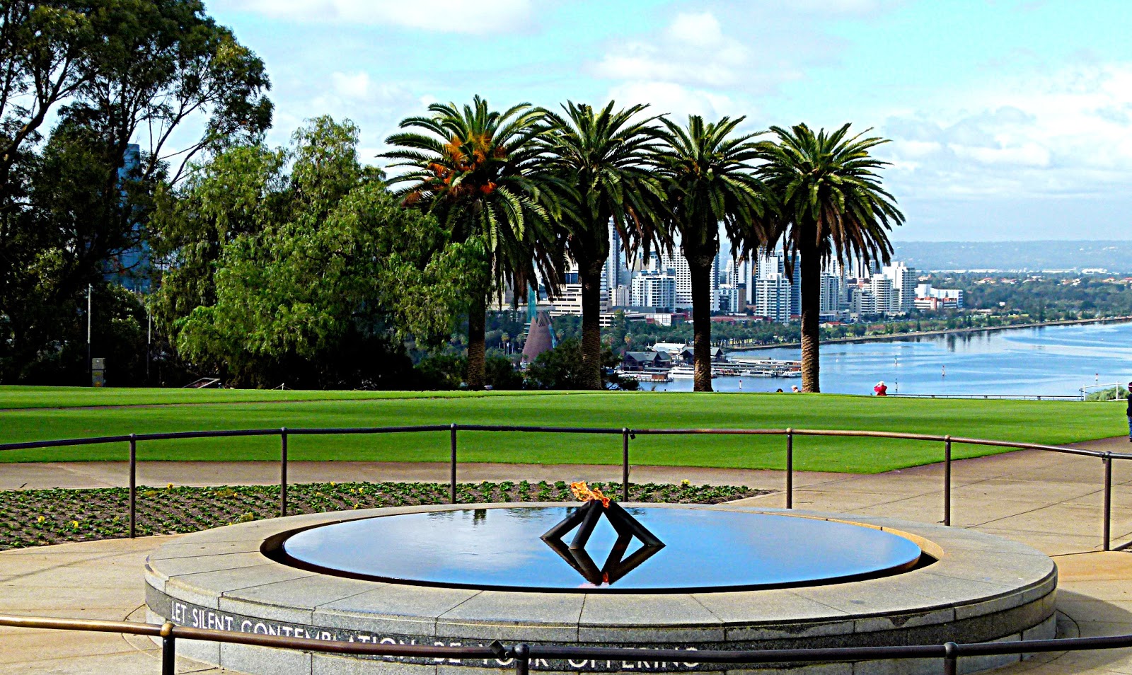 Perth Daily Photo : The big trees of Kings Park.....