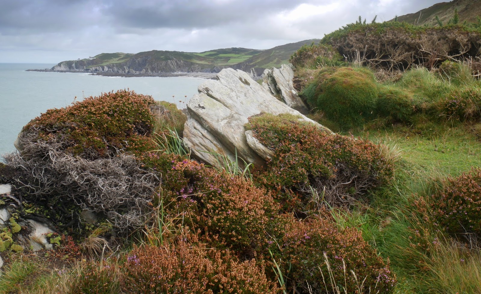 The Adventures of Skooby Blue (and Simon too): Morte Point, Devon ...