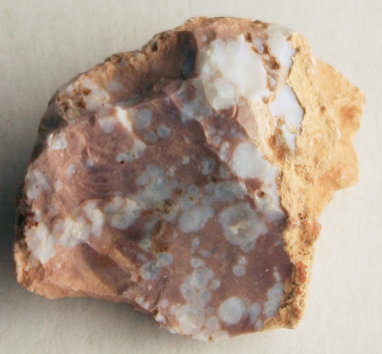 Rocks of Wyoming: Some rocks in my collection