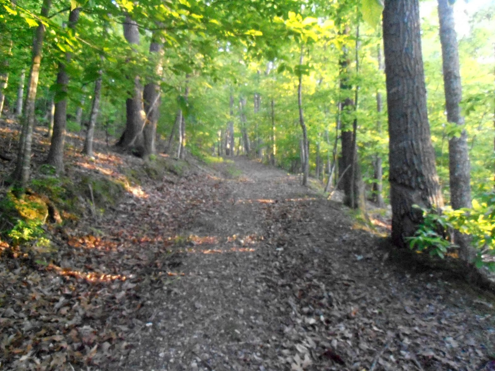 American Travel Journal: Marine Railway Loop Trail - Norris Dam State Park