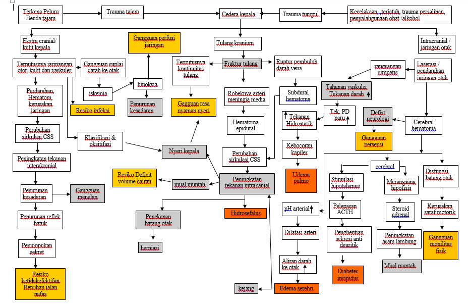 pathway cidera kepala