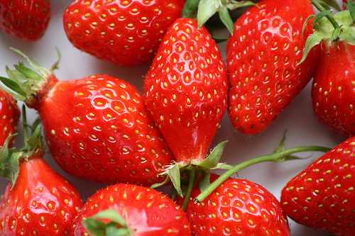 Gastronomía a Libreta Abierta, [=I=]: Tipos de Fresas