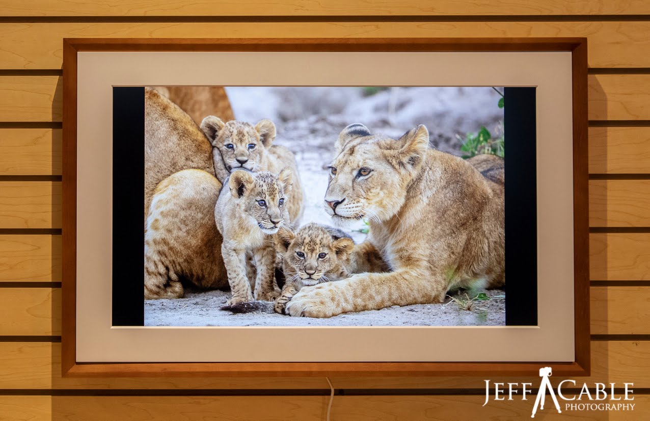 Jeff Cable s Blog The New Netgear Meural Canvas II Digital Picture Frame Jeff Cable s Blog The New Netgear Meural Canvas II Digital Picture Frame