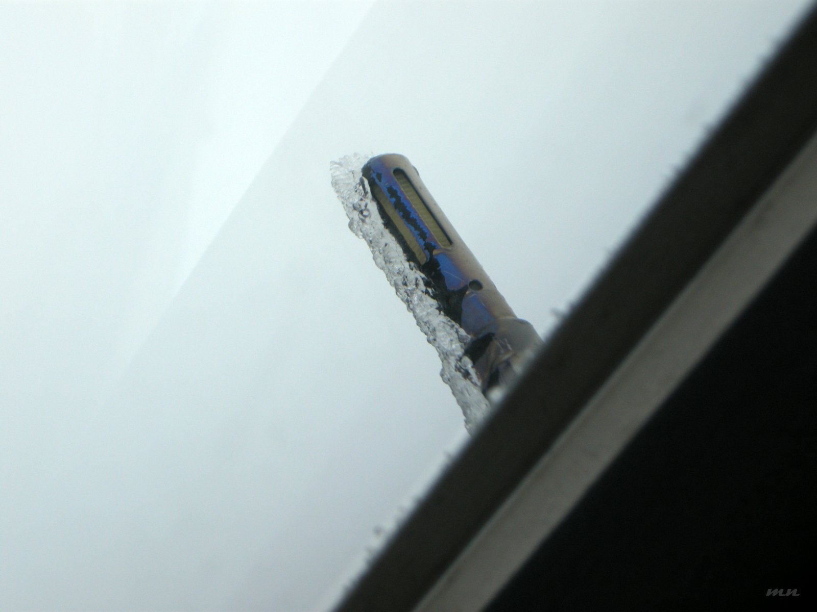 pics from the office: On the Rock's