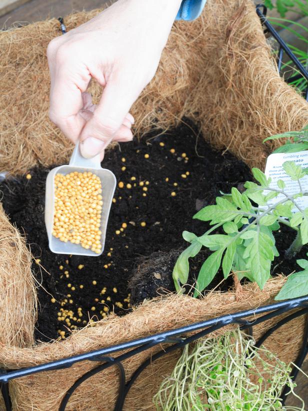 PARACHA FARM: How to Grow a Basket of Crops