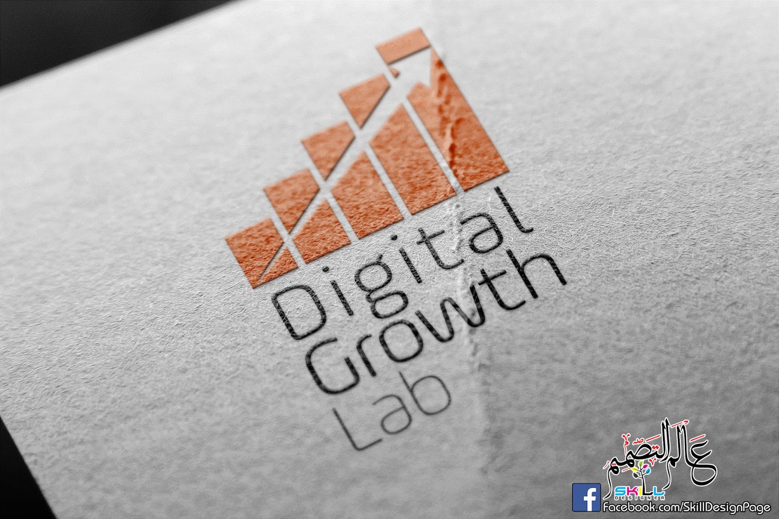 Digital Growth Lab Logo 02 - عالم التصميم Skill Designer