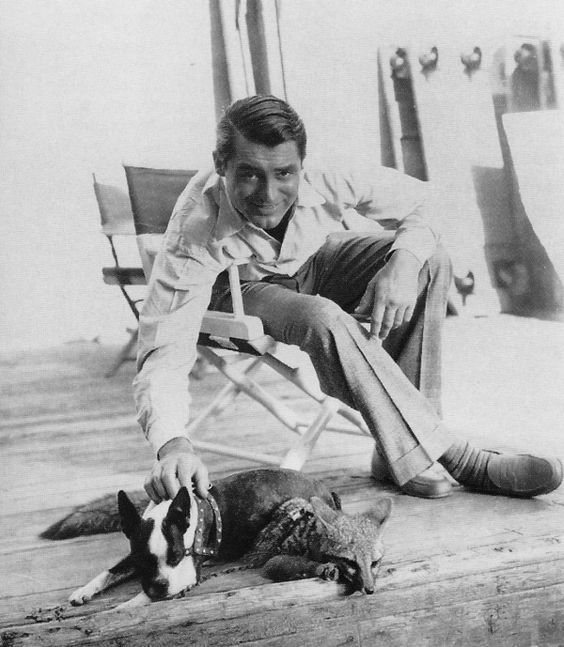 PERROS Y GATOS FAMOSOS: ARCHIE LEACH / SKIPPY Y OTROS DE CARY GRANT.