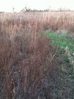 Life On The Tallgrass Prairie: Hiking The Path Of The Earth People