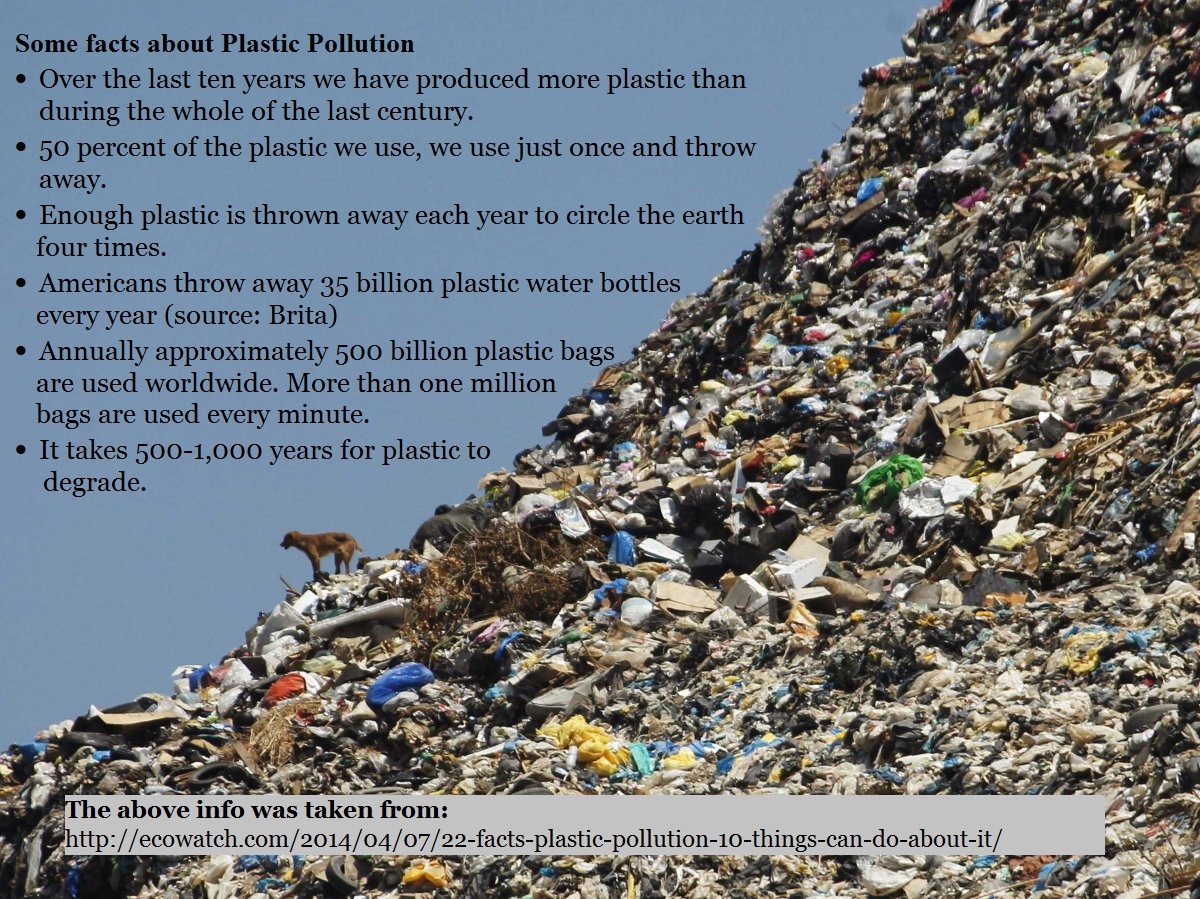 Mother Earth and Environmental Pollution: Plastic Pollution
