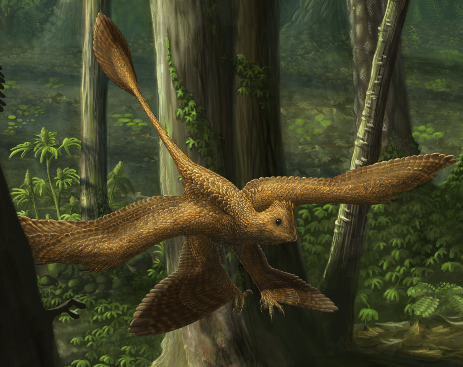 Art of Emily Willoughby: Liaoning details