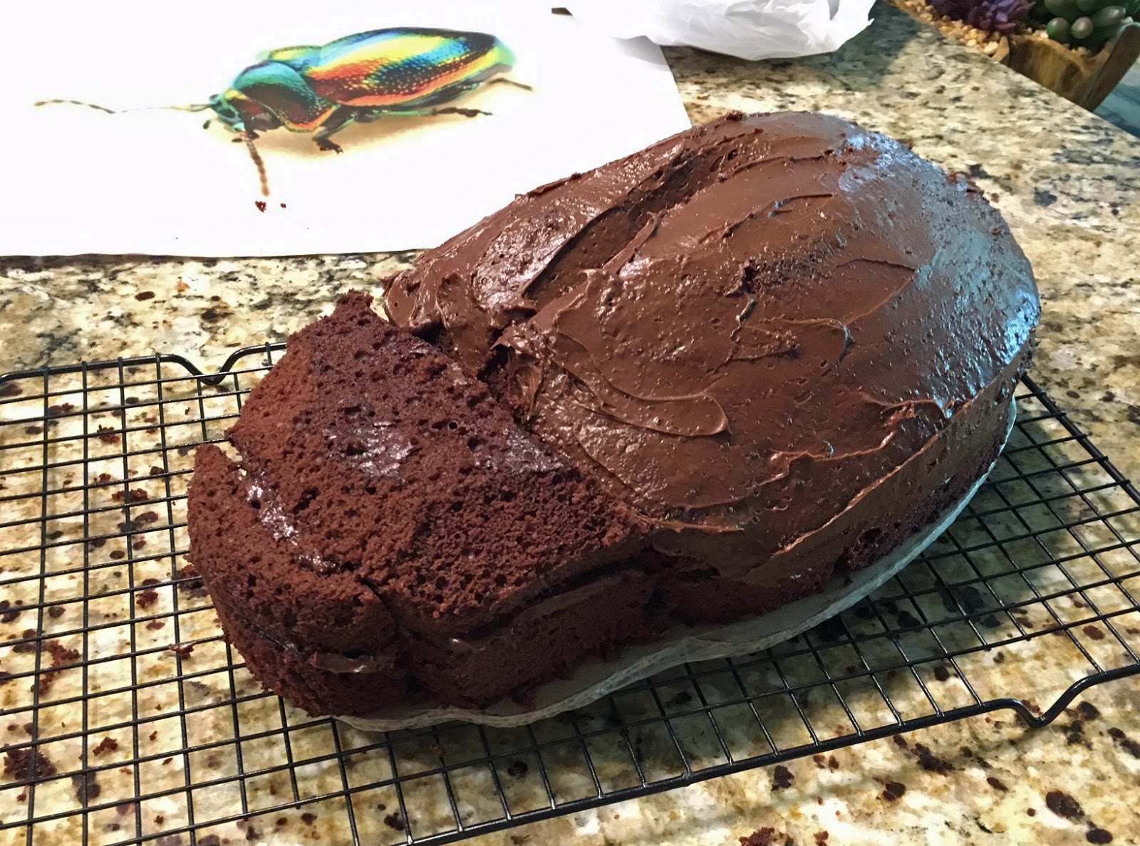 The Bake More: The Pissed-Off Leaf Beetle Cake