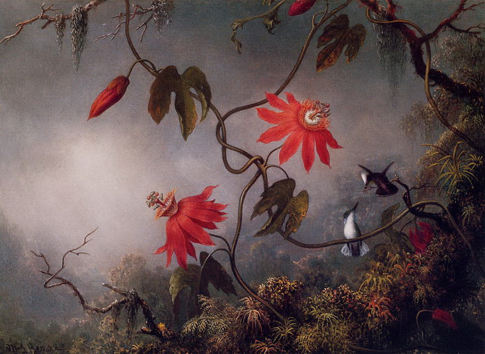 Martin Johnson Heade | Pittore romantico | Masterpiece | Tutt'Art@