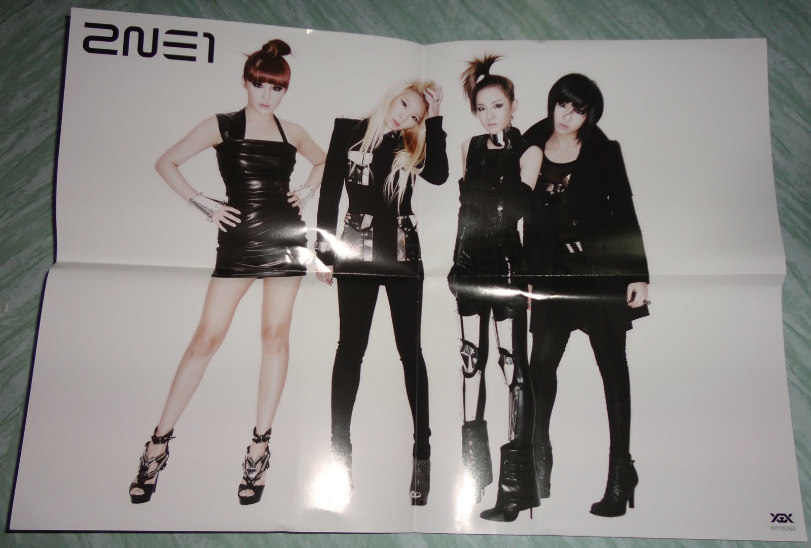 SKY ZONE: 2ne1 K-Pop Music CD / DVD & Official Goods