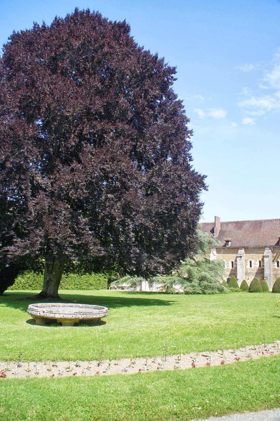 la vie est belle: Parc de l'abbaye de Pontigny (89)