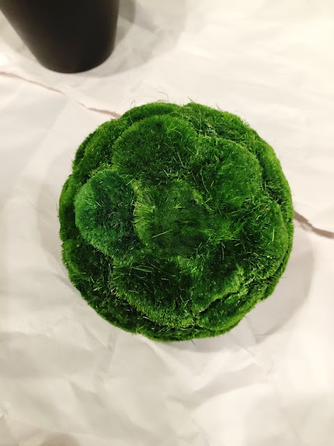 Brooke Sandra Blog | Life & DIY Inspiration: DIY Potted Moss Ball Decor