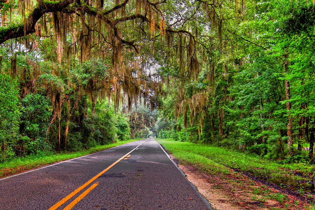 Looking Toward Portugal . . . .: Swamp Food and Back Roads Florida ...