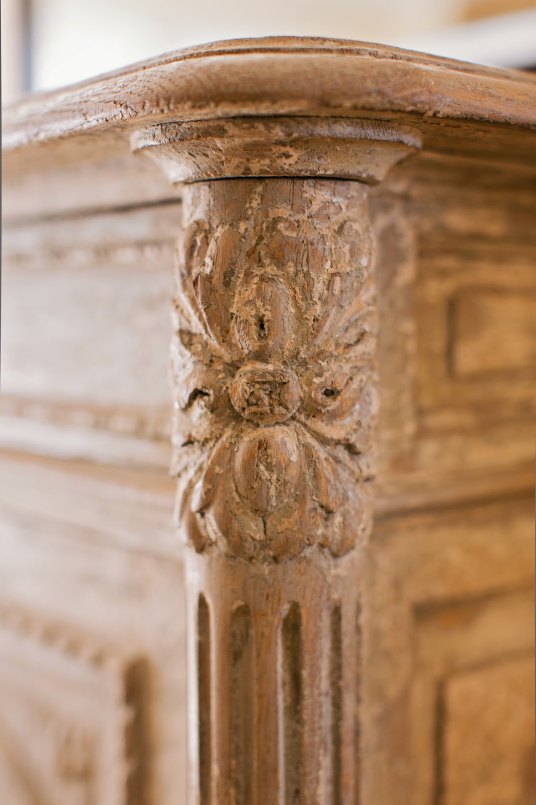 Roses and Rust: Meet Maison & Co