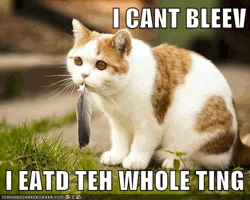 Grammar Catz: Grammar Cat #82: Feather Cat