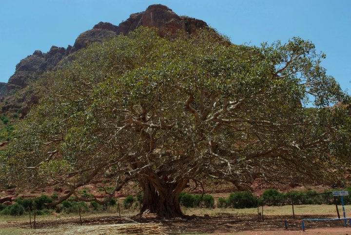 Shila of Tigray: Escuela de Guías de Wukro ENKOT GEBO