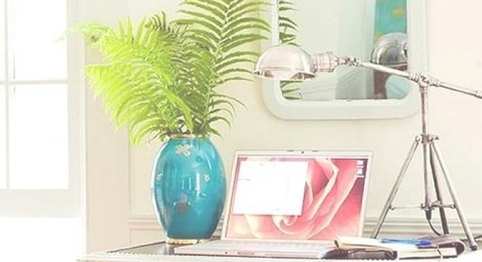 Organized Charm: How to Feng Shui Your Study Space