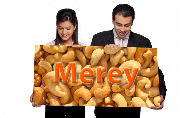 #herramientasve C103 Grupo 3 Frutas Exóticas: El Merey: La nuez del ...