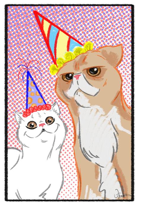 Joshua Taback Portfolio