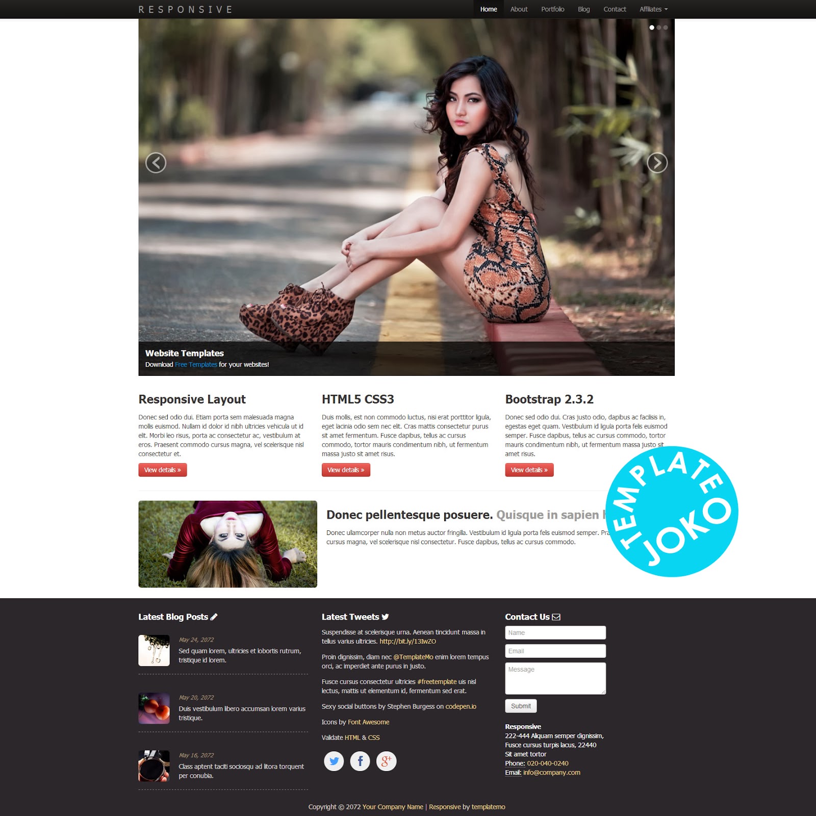 Download Template Css Html Profil Model Gratis 2014 - Joko Template