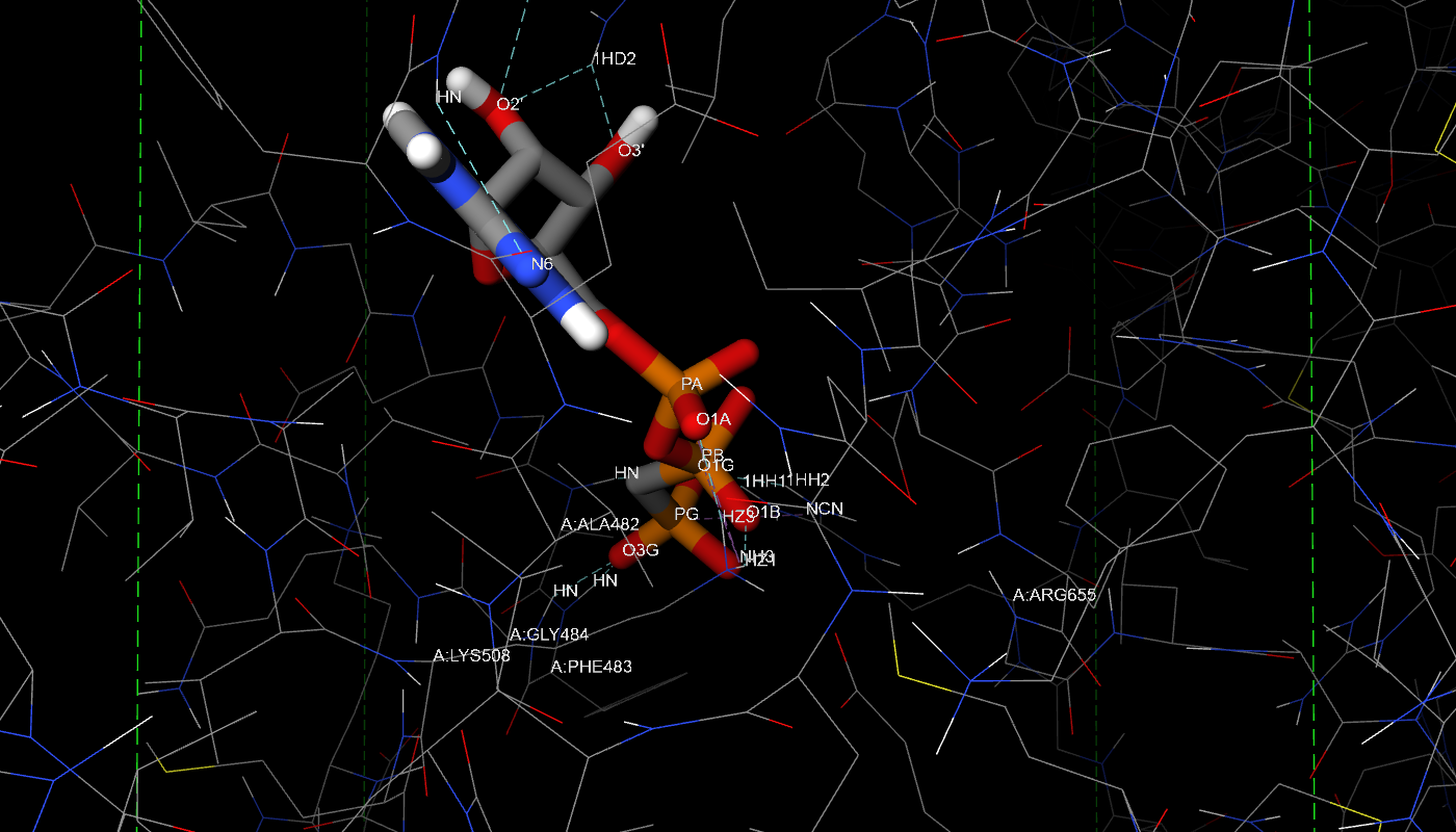 Treating Achondroplasia: Treating Achondroplasia: highlights from the ...