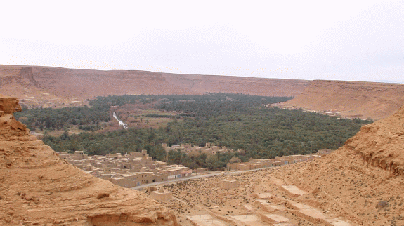 La Cultura del Oasis: Los oasis de Tafilalet