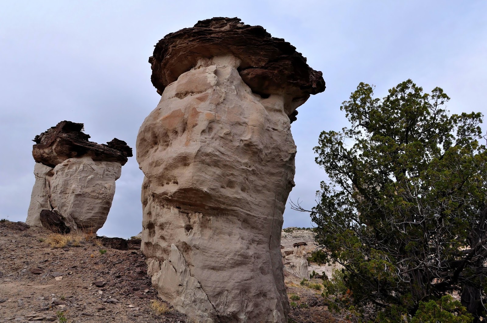 Les voyages de Michèle et Jean-Michel: Lybrook Badlands