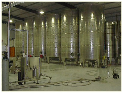 fermentasi anggur menjadi alkohol: Fermentasi Anggur Menjadi Wine