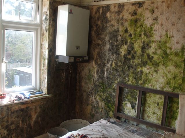 Surveying Property: Housing Health & Safety - HHSRS and why do we need ...