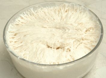 teknik rahasia dan metode yang digunakan dalam proses pembuatan roti ...