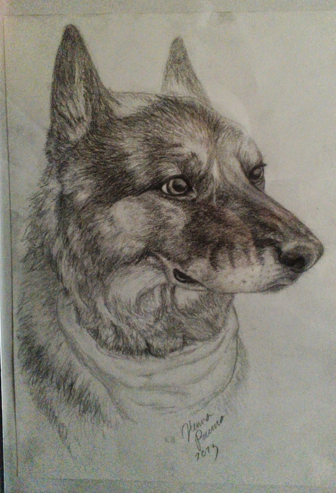 Capture: Muutama lyijykynällä piirretty koira :)