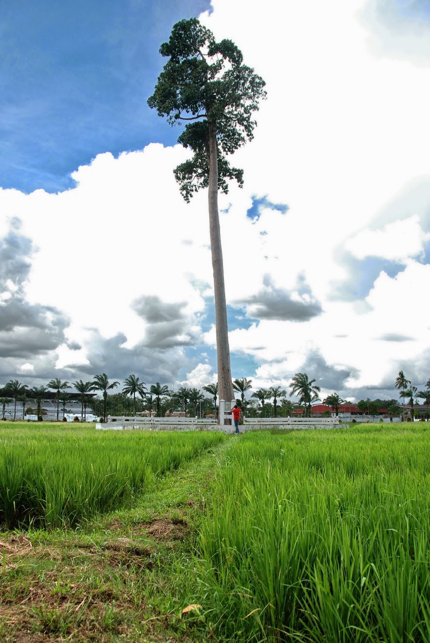 Carl James & Kate: Travelling to Mindanao via RORO