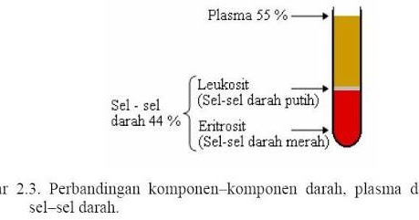 Fungsi dan Komposisi Darah