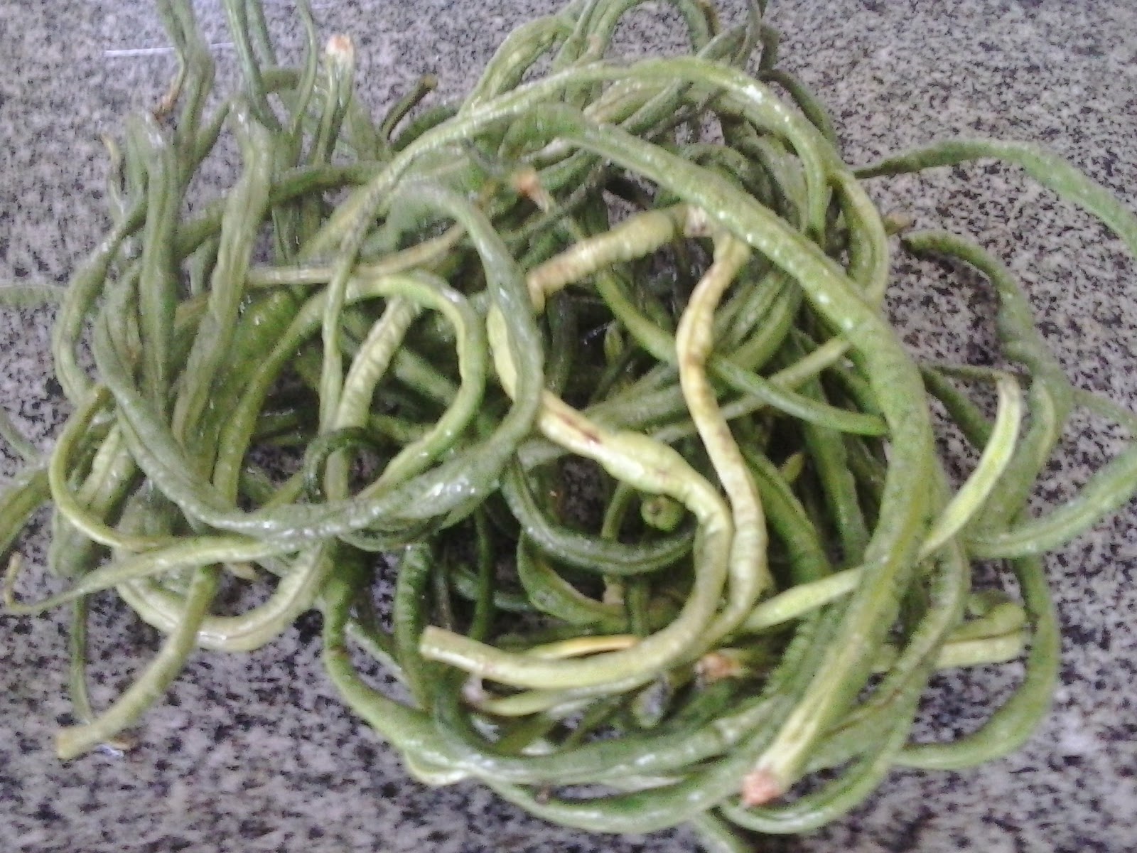 So Very Very Thankful: Preserving Bora Bora beans