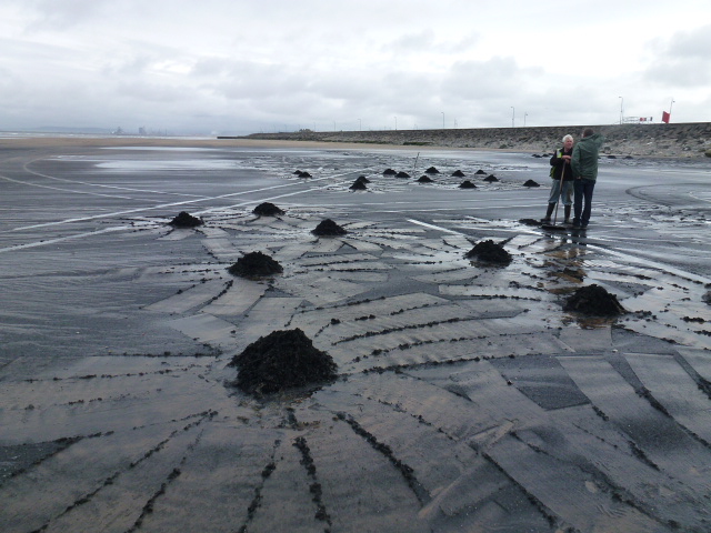 Within the Walled Garden: Some Well Travelled Sea Coal
