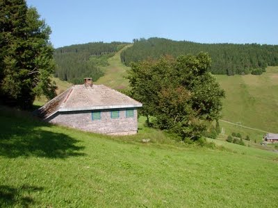 embrión ARQUITECTURA: La cabaña de Heidegger (lectura de Verano)