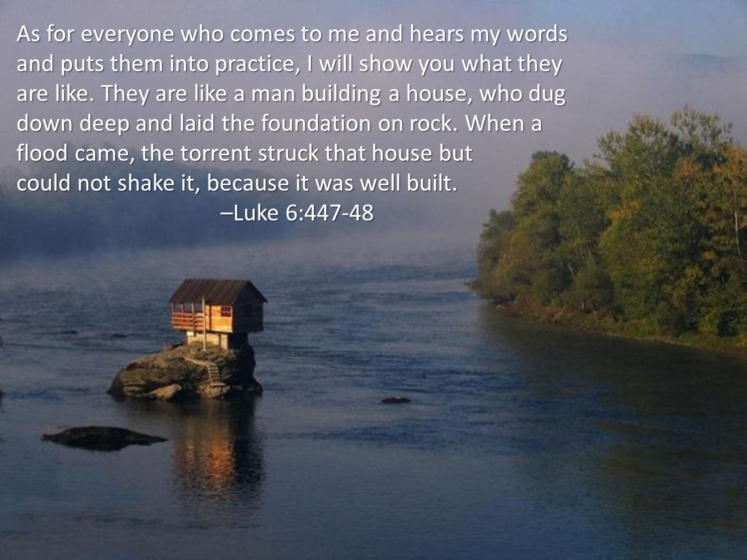 Well Built Guys Be Like Flood Building A House