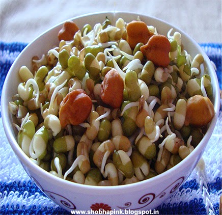 Shobha's: Mix Sprouts Chat